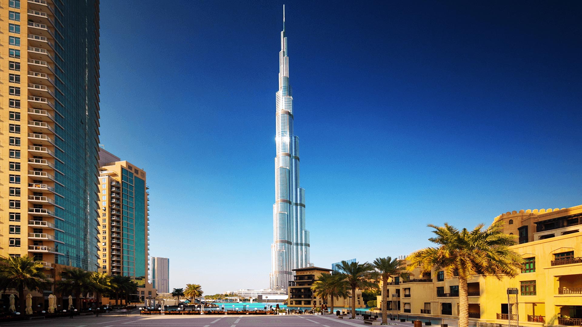 PROinvestorGlobal™